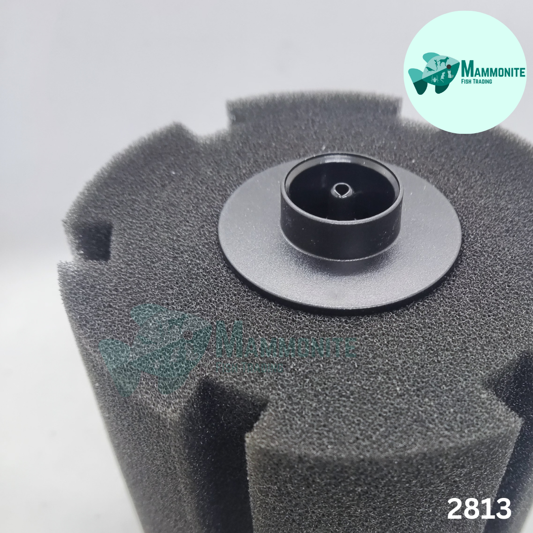Bio Sponge Filter XY 2813 11.3x10cm Aquarium Filtration Clean Water Fish Ornamental | Shopee ...