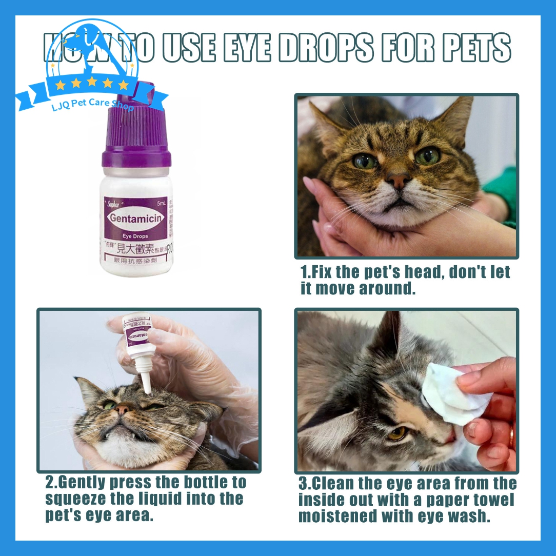Pet Eye Drops for Dogs and Cats to Treat Eye Infections and Remove Tear ...