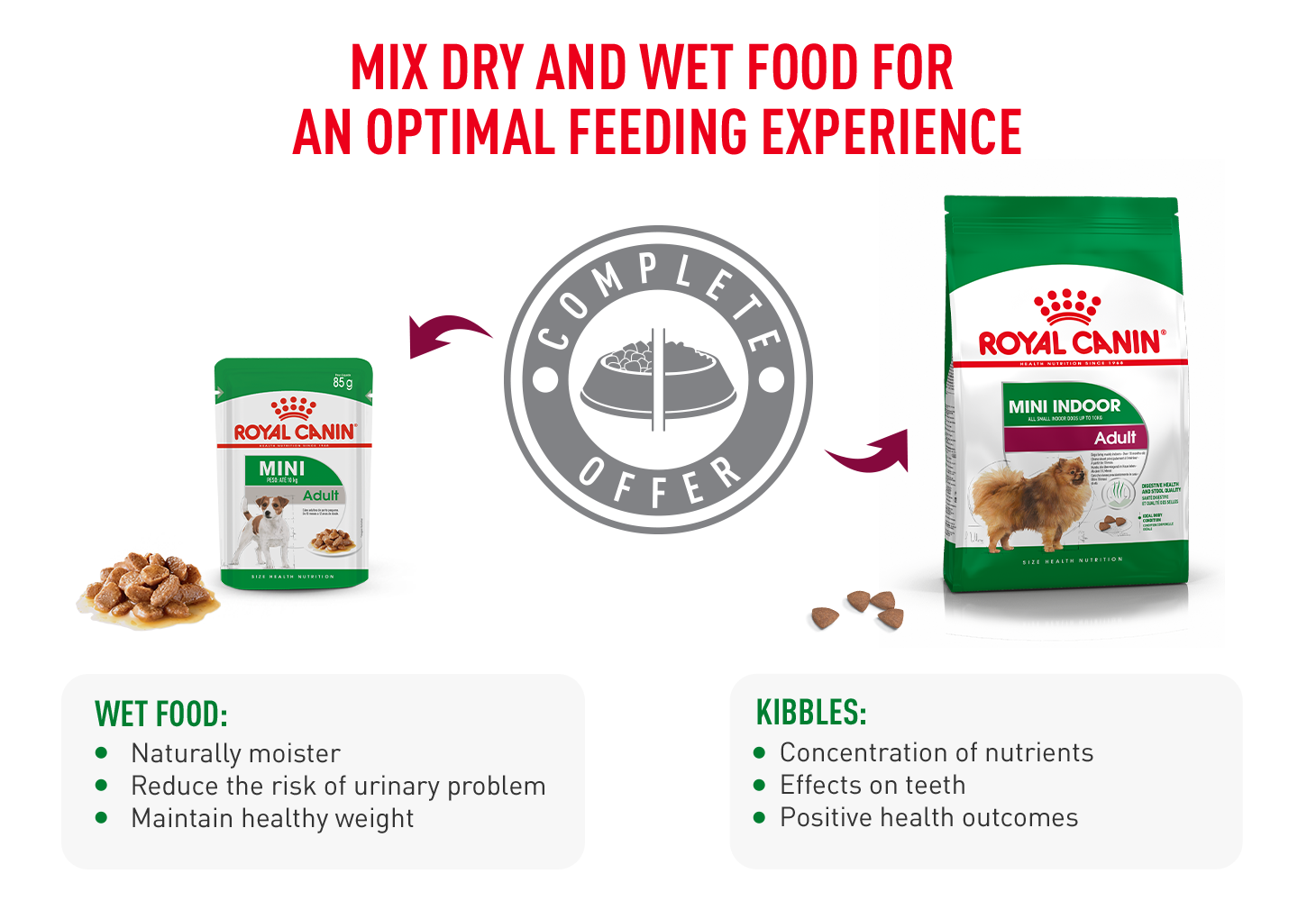 Royal Canin Mini Indoor Adult 7.5kg Dry Dog Food - Size Health ...