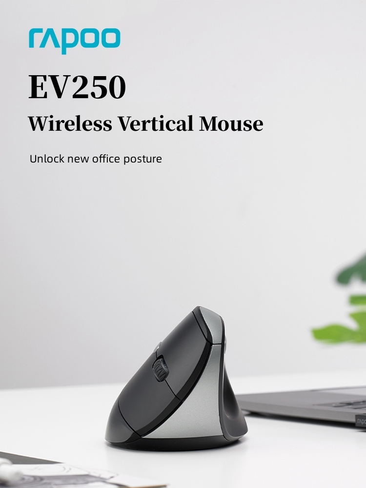 Rapoo EV250 Wireless Vertical Mouse Ergonomic 60° Angle 2.4G 1600DPI ...
