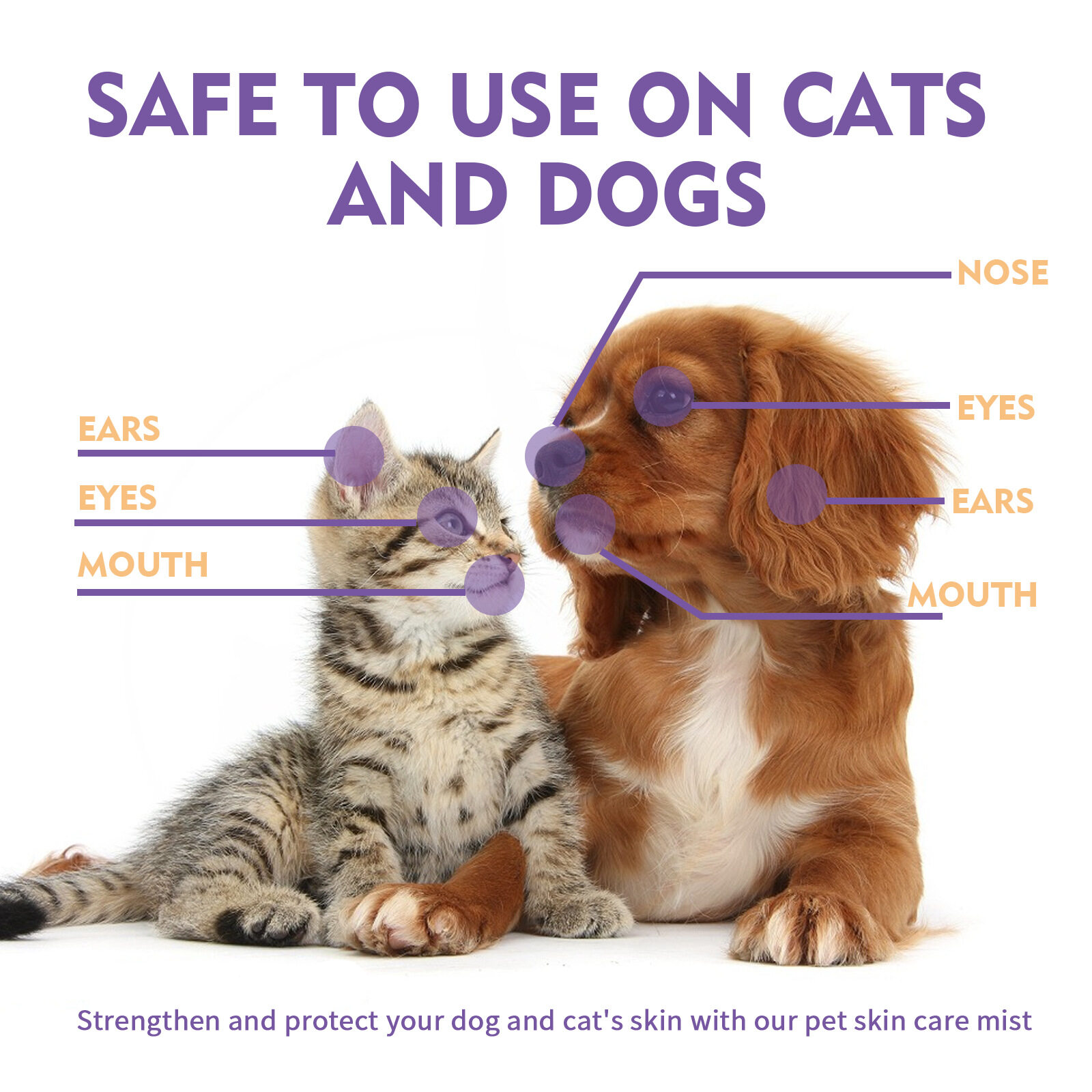 Pet Skin Spray Removes Anti-Fungal Dog And Cat Spray 60ML | Shopee ...