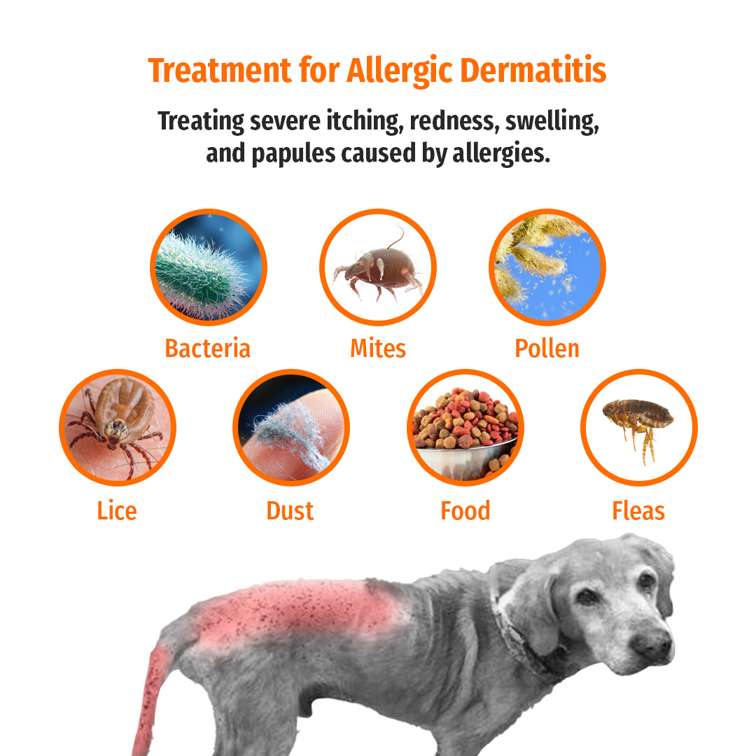 Cassiel Pet Anti ltch Tablets Skin Disease Medicine For Anti Itching ...