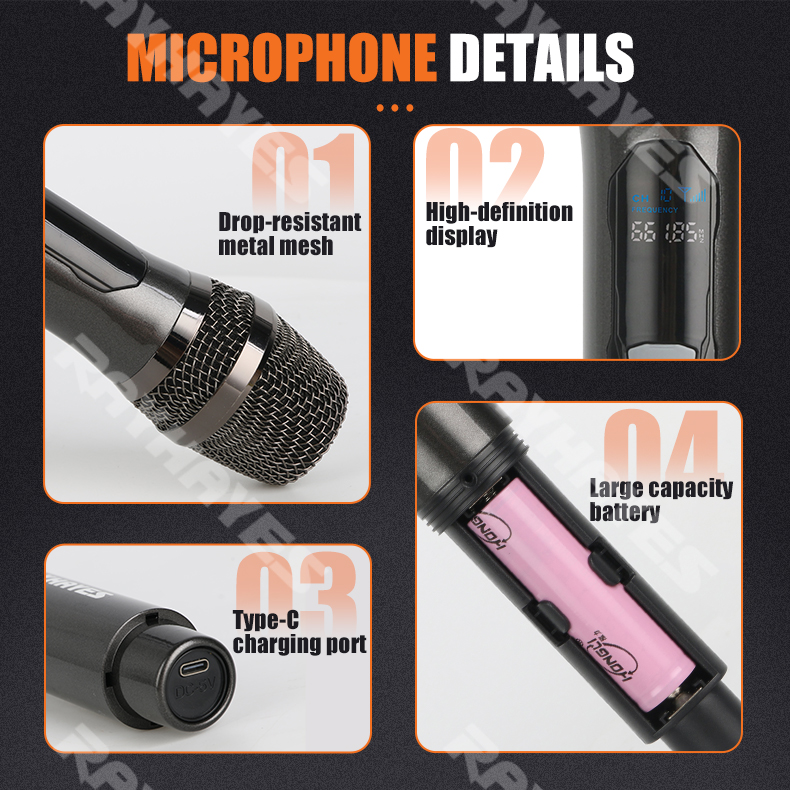 Rayhayes Professional Microphone Wireless Rechargeable UHF Lithium ...