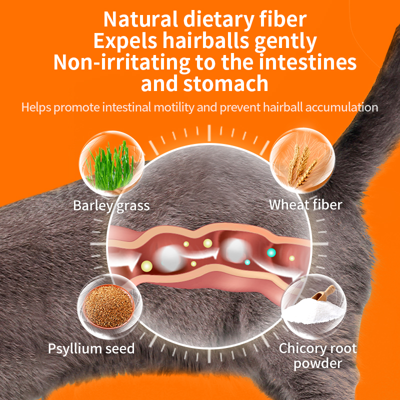 PUAINTA Hairball Solution for Cat Hairball Removal Multi Vitamin B Cat ...