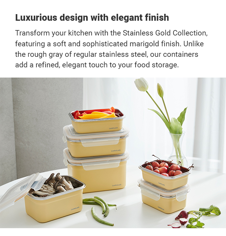 LocknLock Set of 5 Stainless Container | Microwave-Safe | Shopee ...