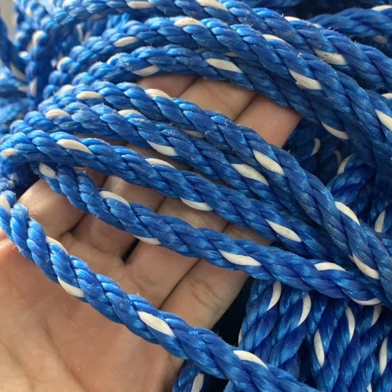 Per Mtr | 7MM-20MM | ENT Skyline Polypropylene PP Rope | Twine Lubid ...