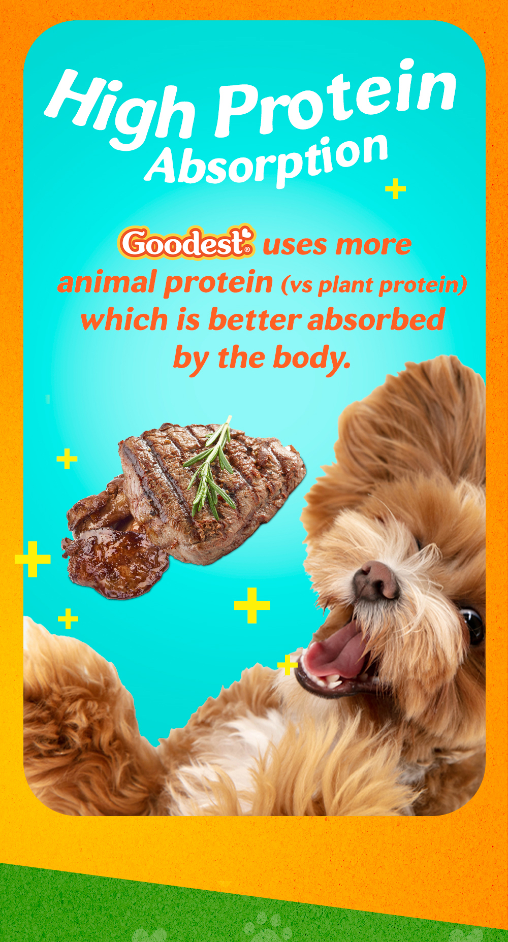 GOODEST Adult Dog Dry Food in Beef & Liver, 20kg. | Shopee Philippines