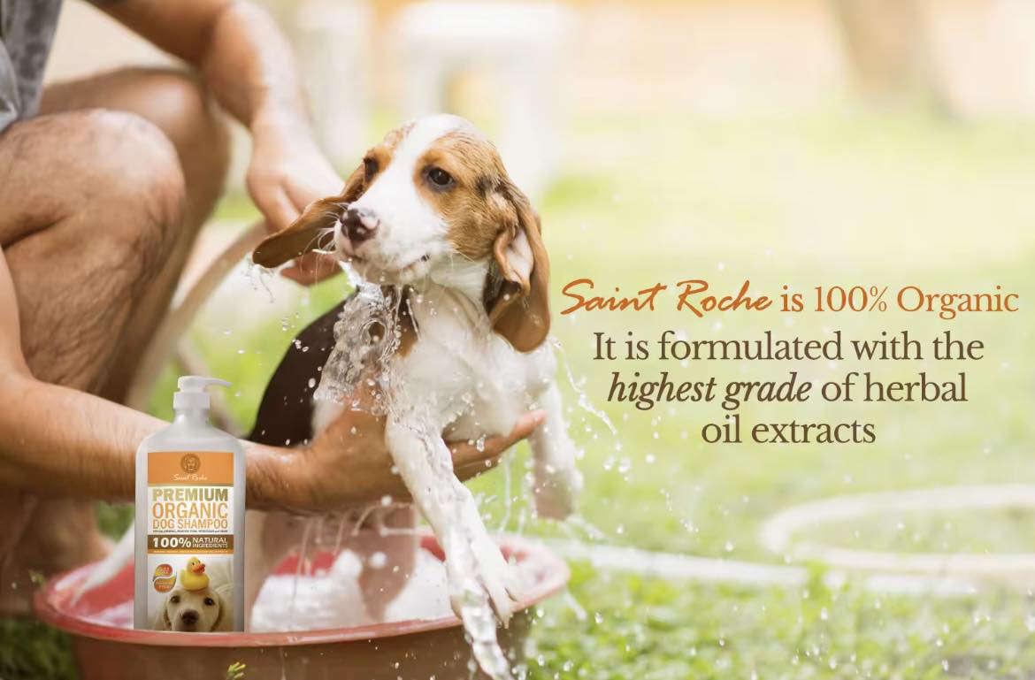 Saint Roche Premium Dog Shampoo Dogs All Stages Adult Puppy 24/7 Pet ...