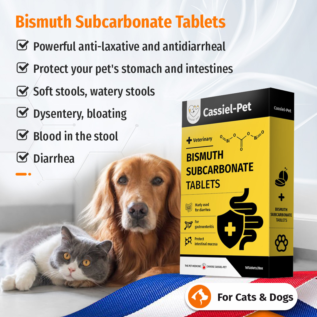 CASSIEL PET Intestinal Anti-Inflammat For Diarrhea,Vomiting,Hiccup ...