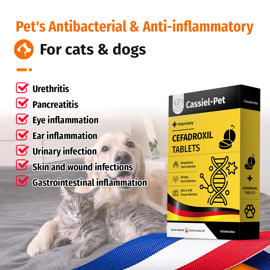 CASSIEL PET Anti-Inflammatory Drugs For Skin Ulcers,Increased Ear ...