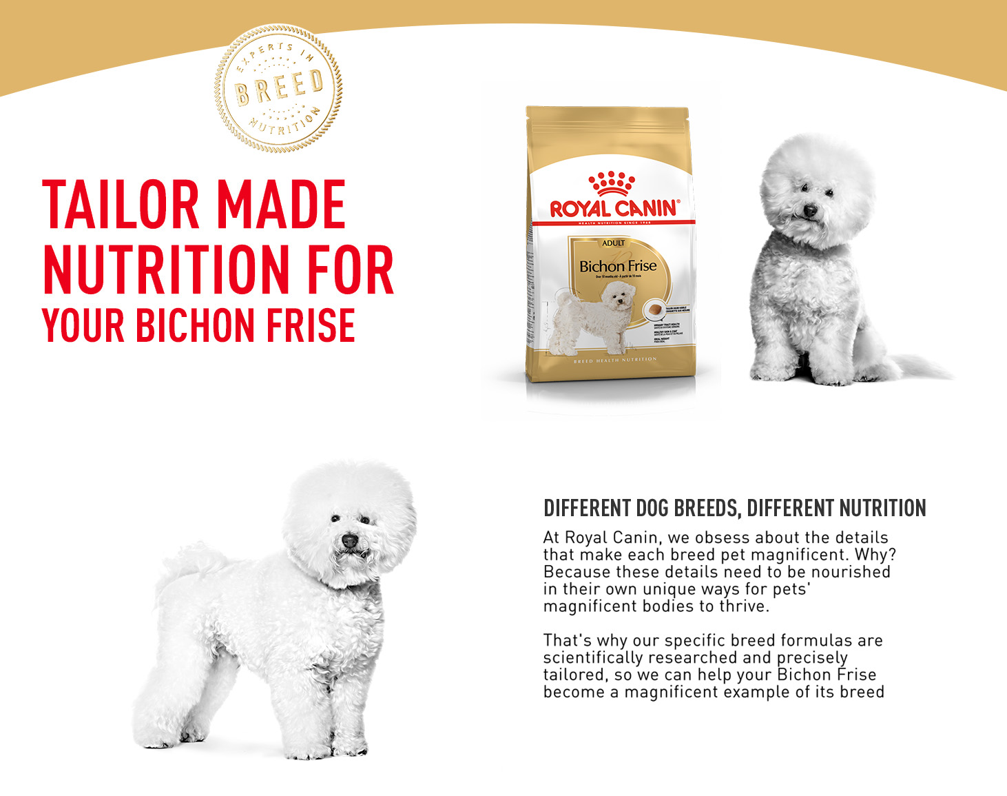 Royal Canin Bichon Frise Adult 500g Dry Dog Food - Breed Health ...