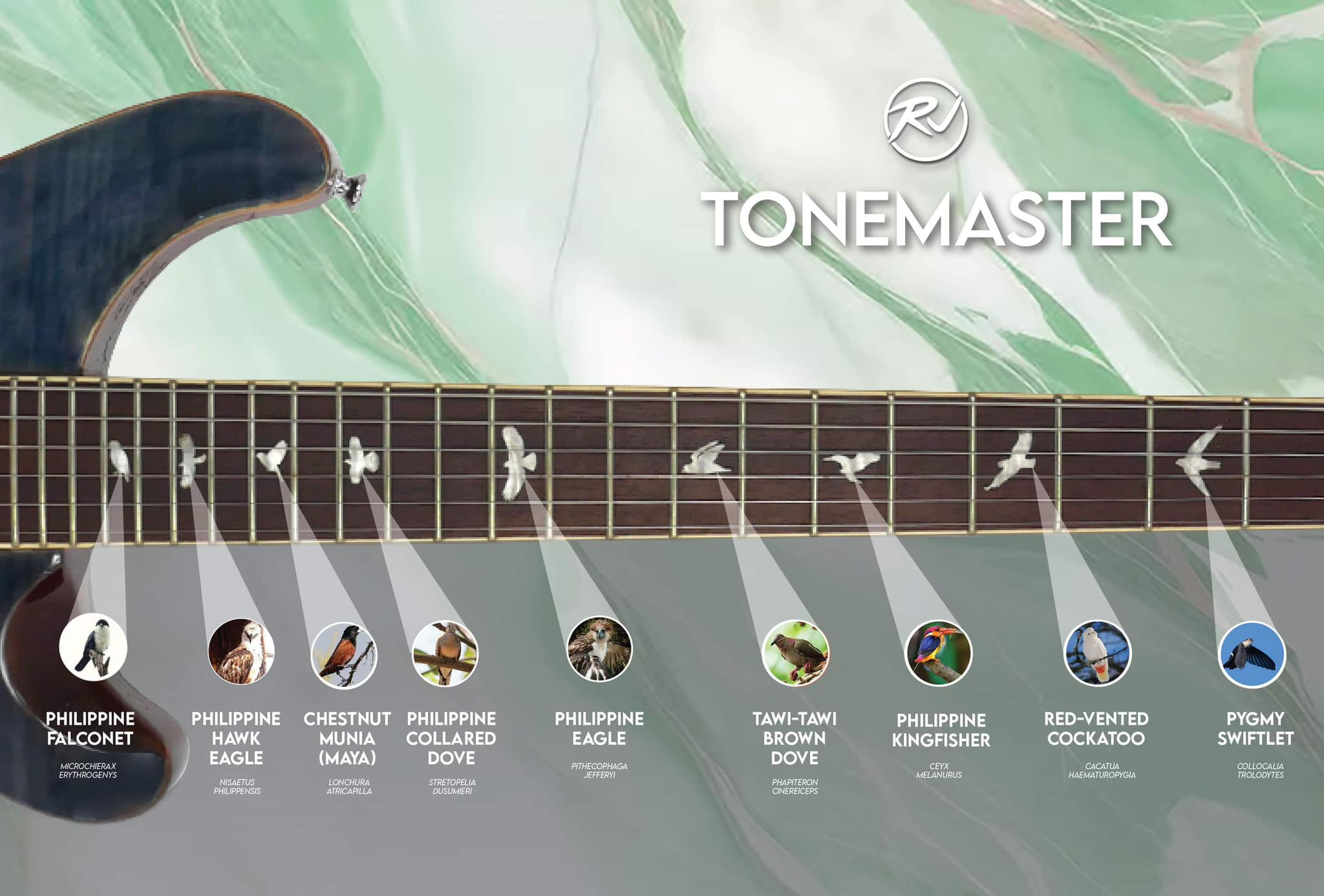 RJ Professional Electrics - Tonemaster Electric Guitar | Shopee Philippines