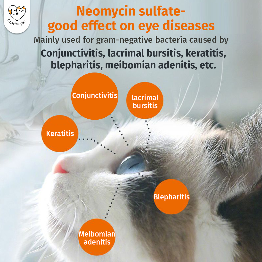 CASSIEL PET Gentamicin Sulfate Eye Drops For Infection For Dogs & Cats ...
