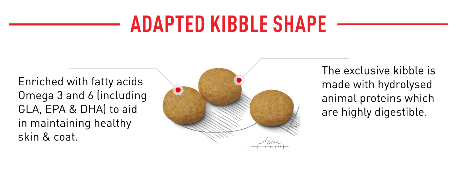 Royal Canin Mini Dermacomfort 3kg Adult Dry Dog Food Canine Care ...