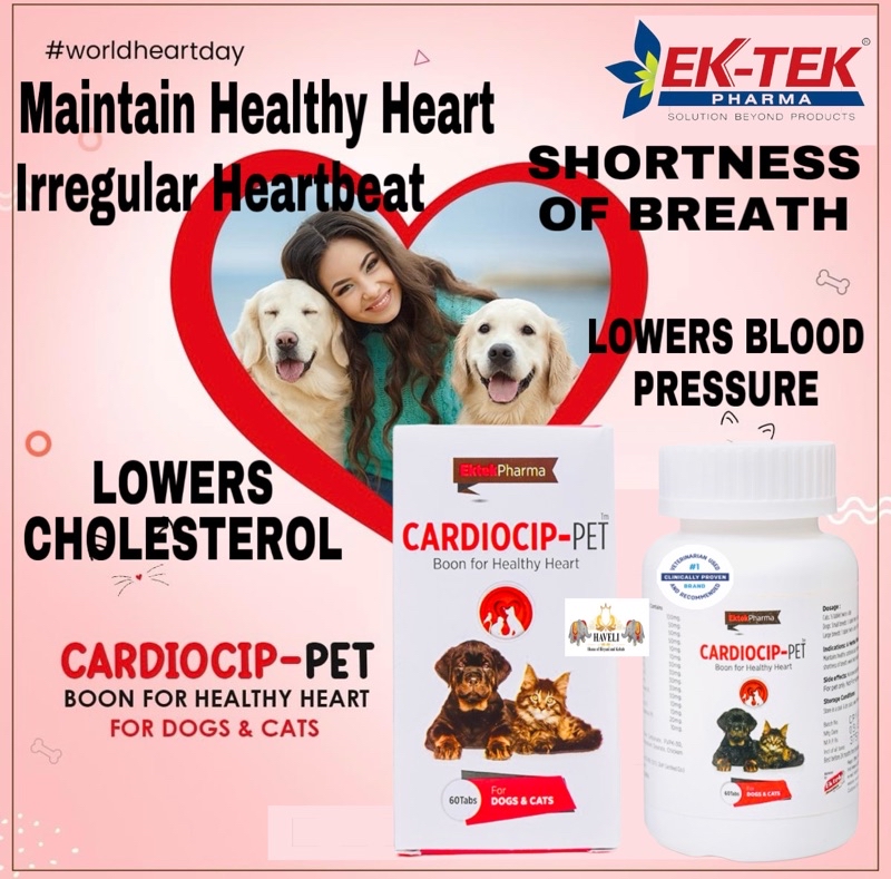 EkTek Pharma CardioCip For Healthy Heart on Dogs And Cats 60Tab ...
