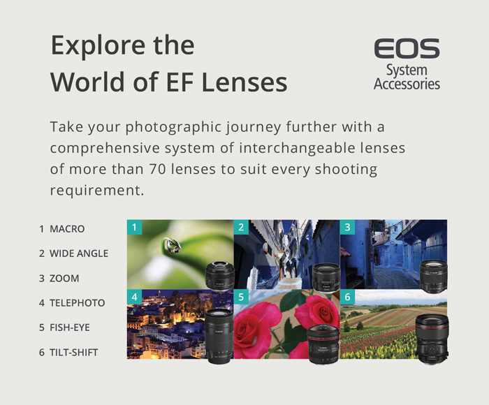 Canon EOS 1500D DSLR Camera with 18-55 IS II Lens W/ FREE 32GB SD Card ...