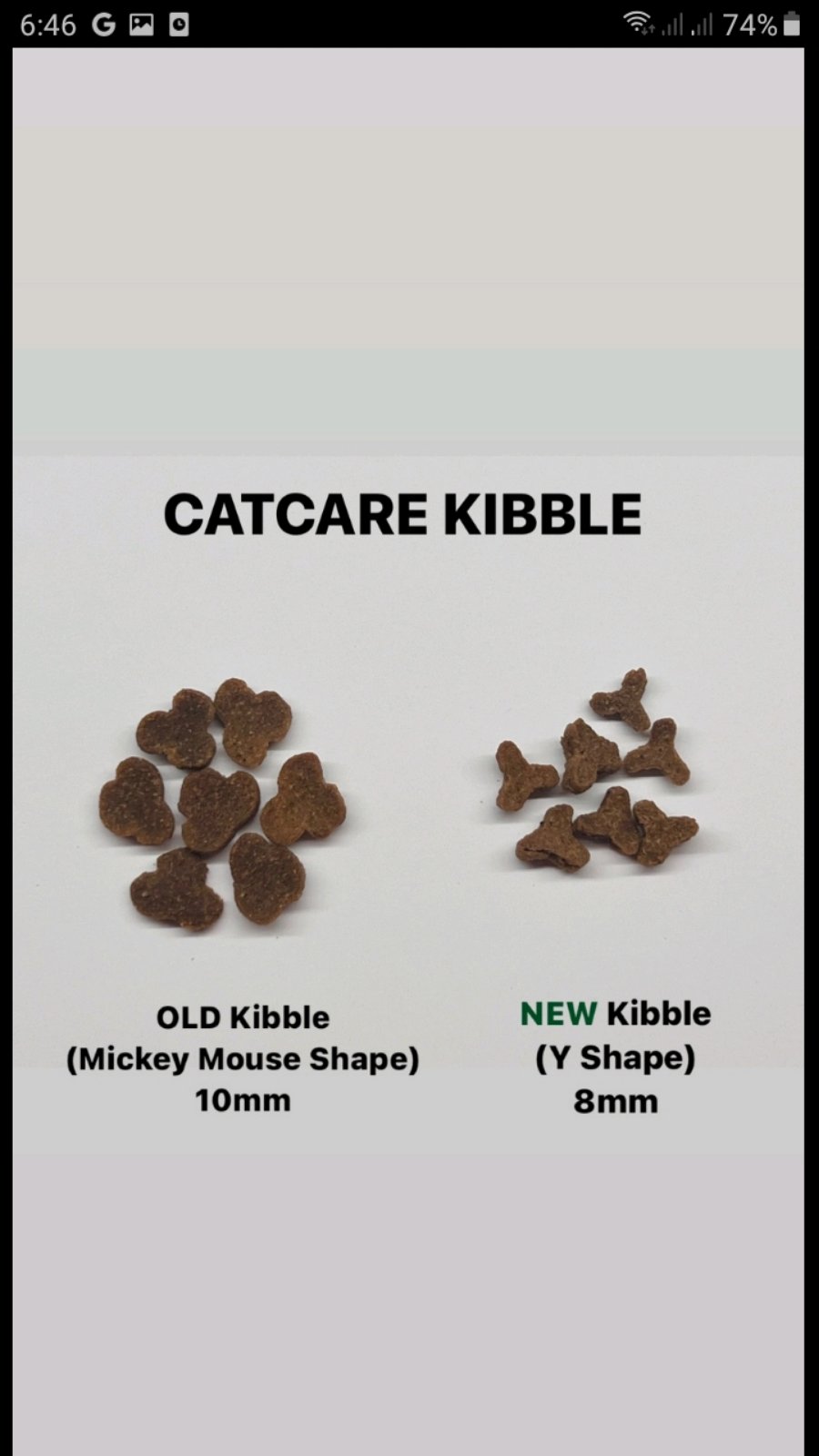 Vitality Cat Care 1 kg All Stage Cat SMALL KIBBLES 1kg FLUTD (Feline ...