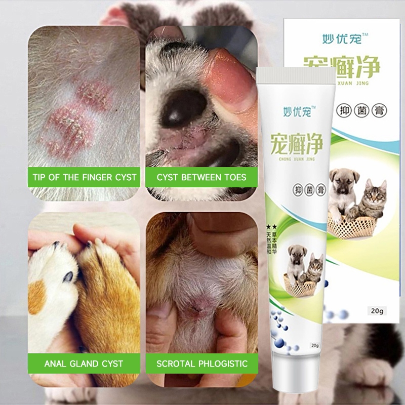 Dog Ointment For Skin Disease Gamot Sa Galis Ng Aso Healing Wounds ...