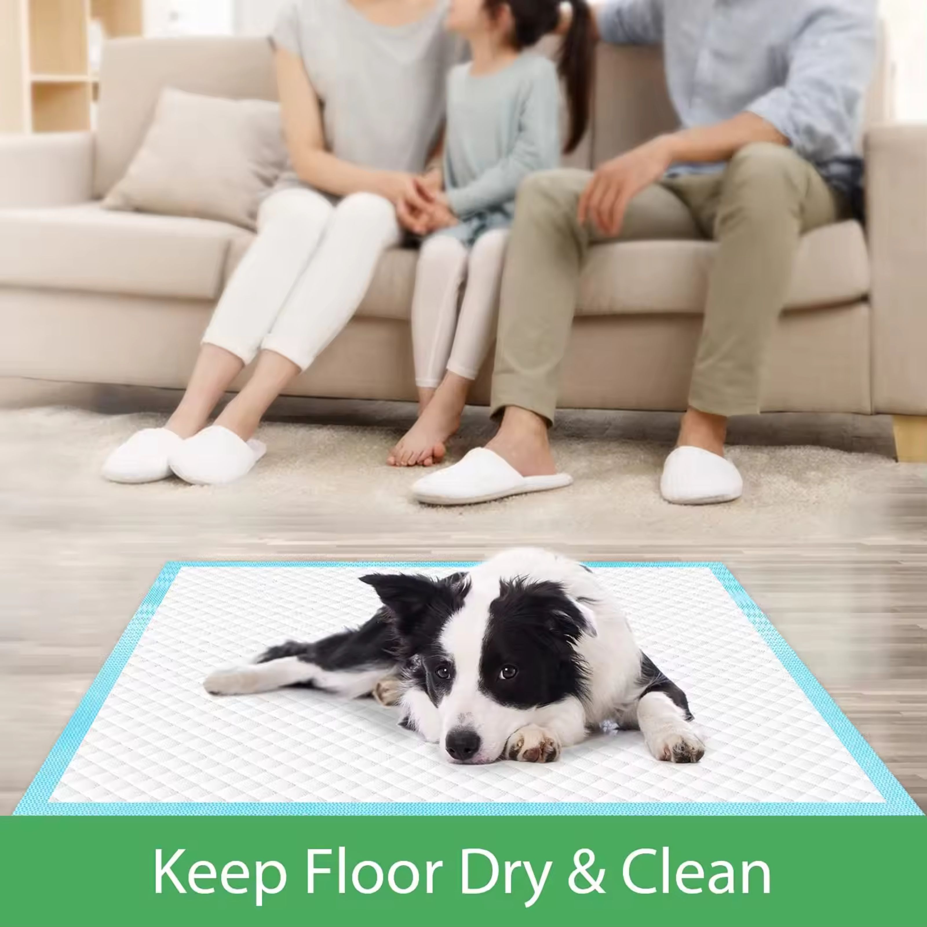 PP Training Pet Pads for Dogs Cats Puppy Wee Pee Poop Urinal Disposable ...