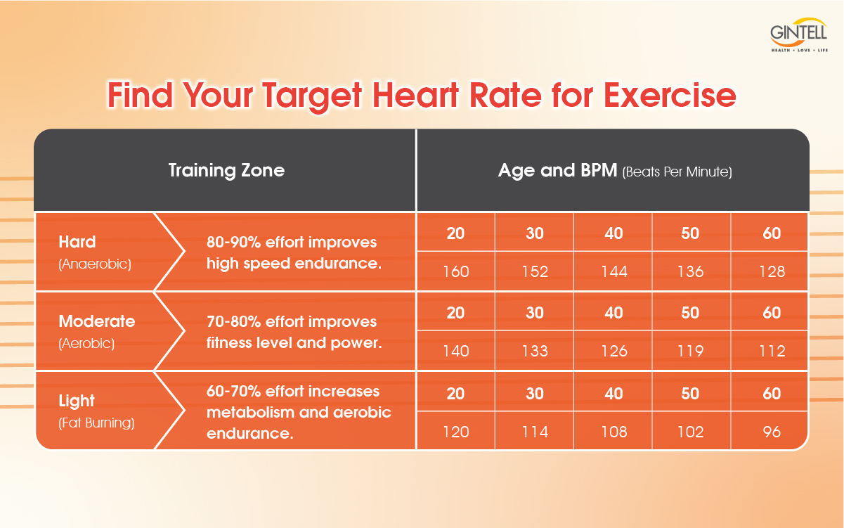 GINTELL AeroBike 4.0 Fitness Exercise Bike | Shopee Philippines