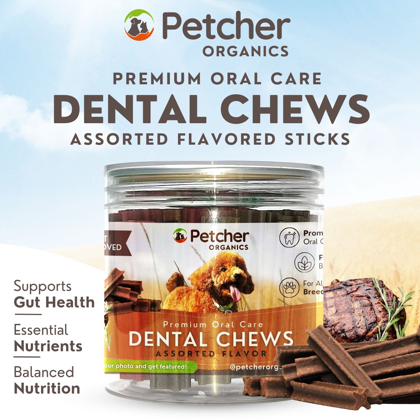 Petcher Organics Assorted Flavor Dental Sticks in Jar – Dental Care ...