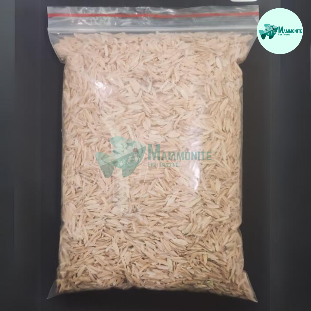 RICE HULL / IPA NG PALAY 100 grams per pack | Shopee Philippines