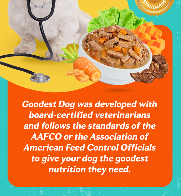 Goodest Dog Beef and Liver Steak Pack of 6 Wet Dog Food Pouch (130g ...