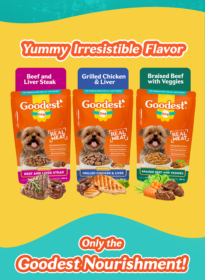 Goodest Dog MultivariantWet Dog Food Pouch (130g) Bundle Pack Of 12 ...