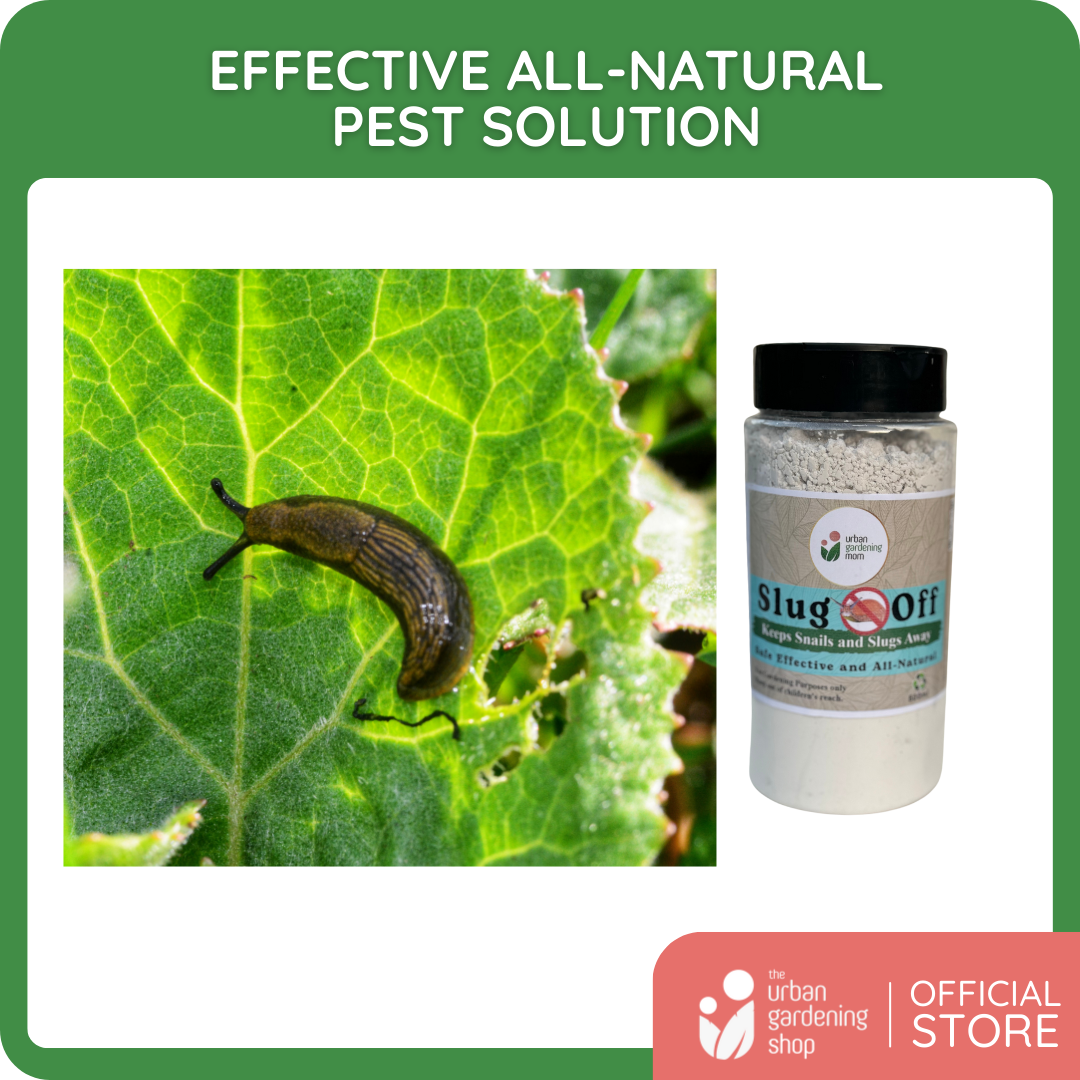 THE URBAN GARDENING SHOP - Slug Off - All-Natural Chemical-Free ...