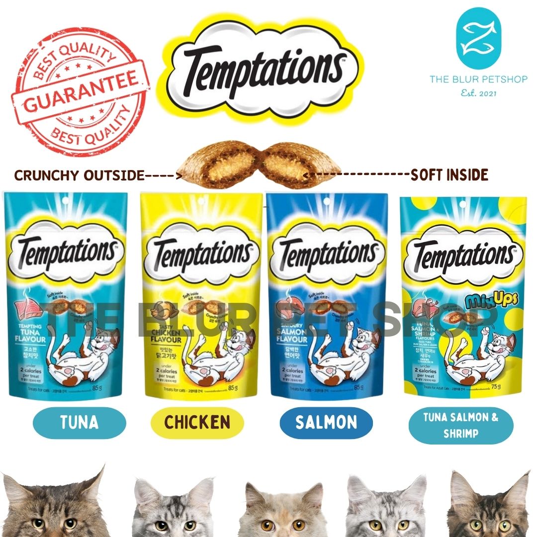 75g Temptations All Stages Adult Kitten Cat Treat Cats Food | Shopee ...