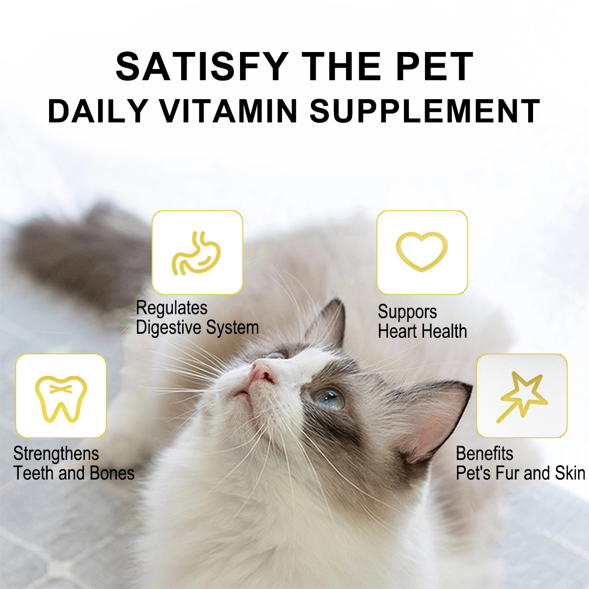 PET RECORD Pet 10 in 1 Multivitamins Supplement for Dogs and Cats ...