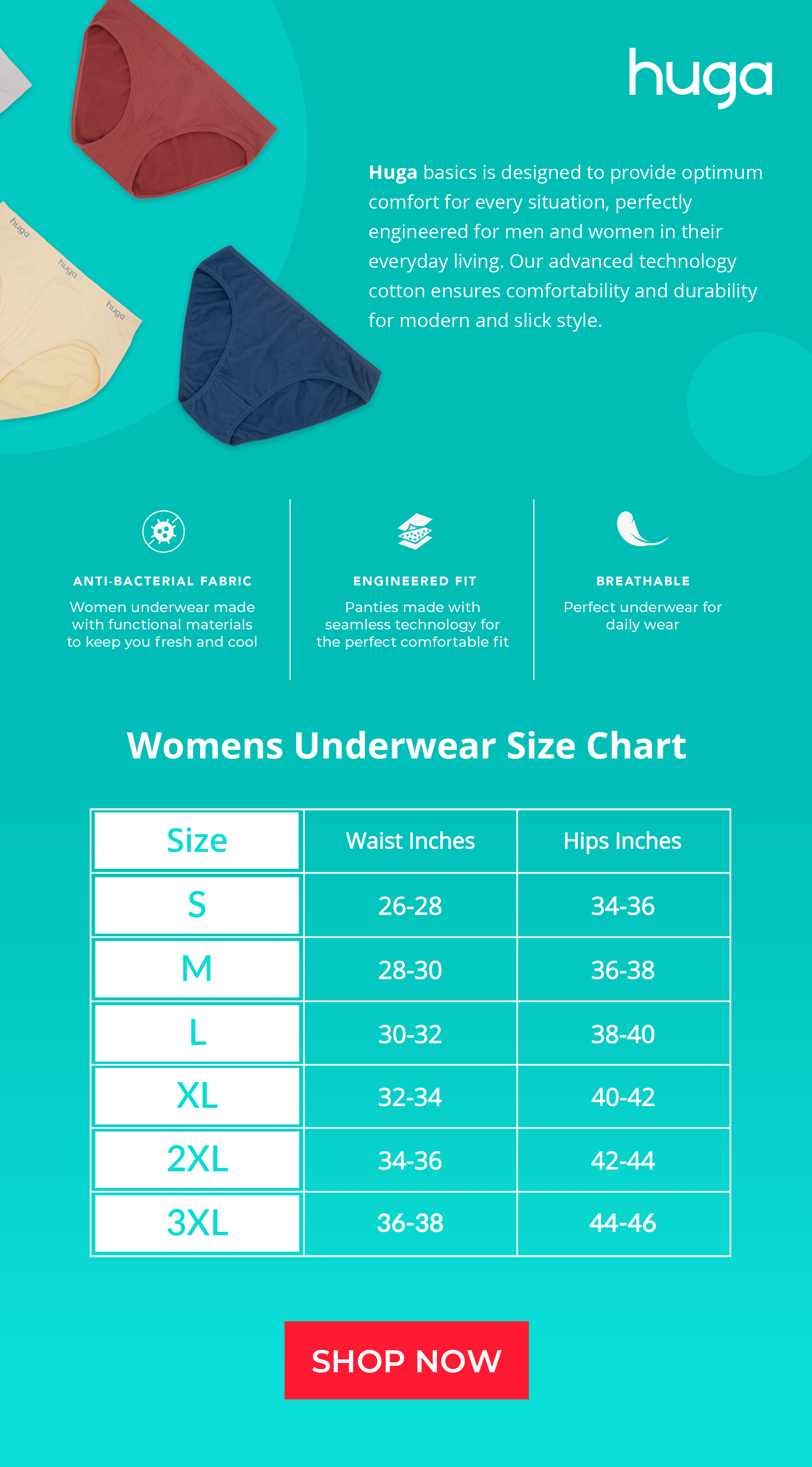 Huga 3 in 1 Promo Pack Andy 100% Cotton Bikini Underwear for Women ...