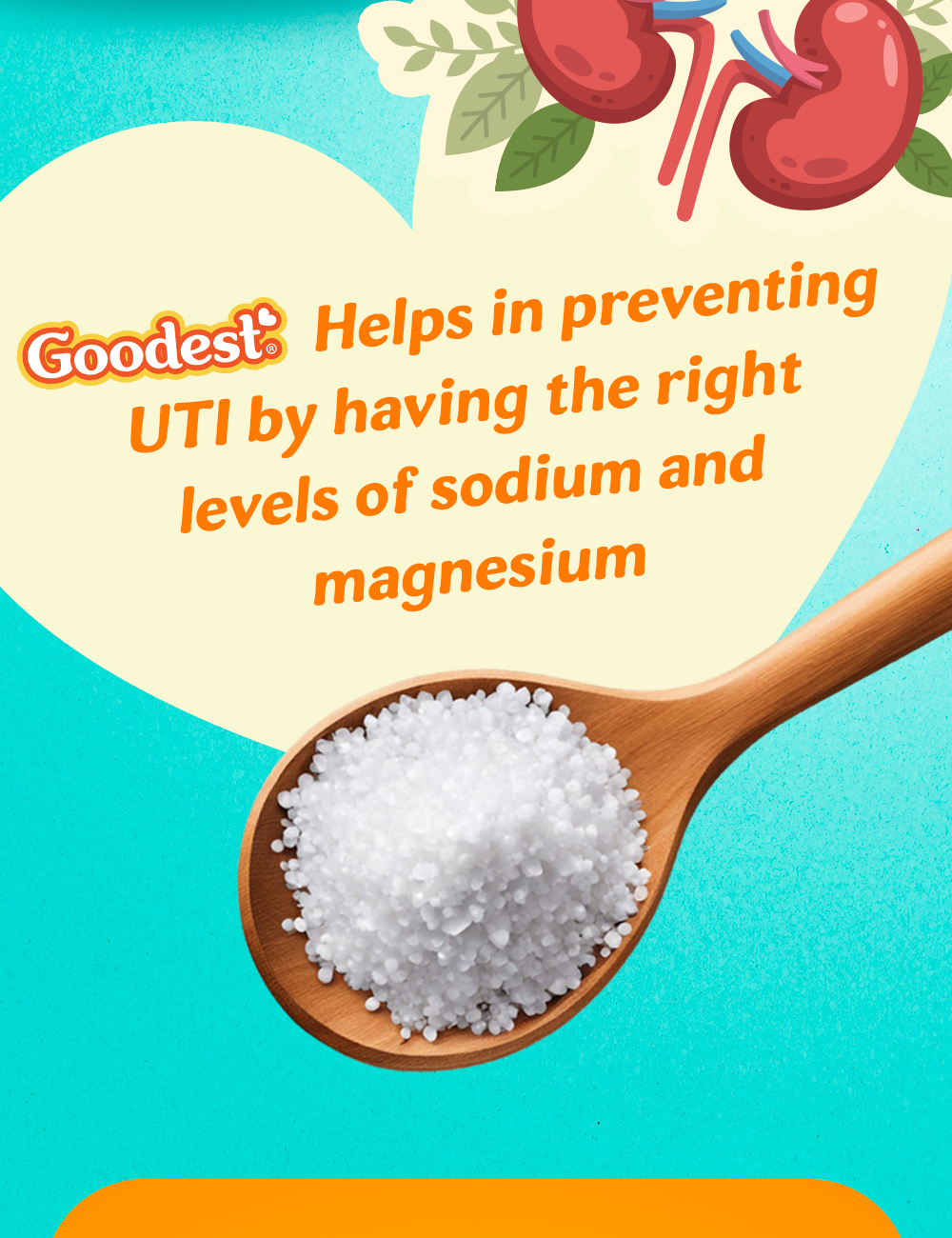 GOODEST Adult Cat Dry Food in Tasty Tuna, 1.2kg. | Shopee Philippines