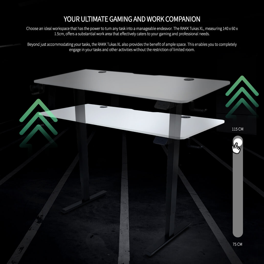 RAKK TUKAS/XL 100cmX60cm/140cmX60cm Gaming Table| Electric Lifting ...