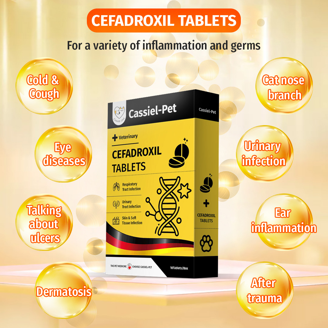 CASSIEL PET Anti-Inflammatory Drugs For Skin Ulcers,Increased Ear ...