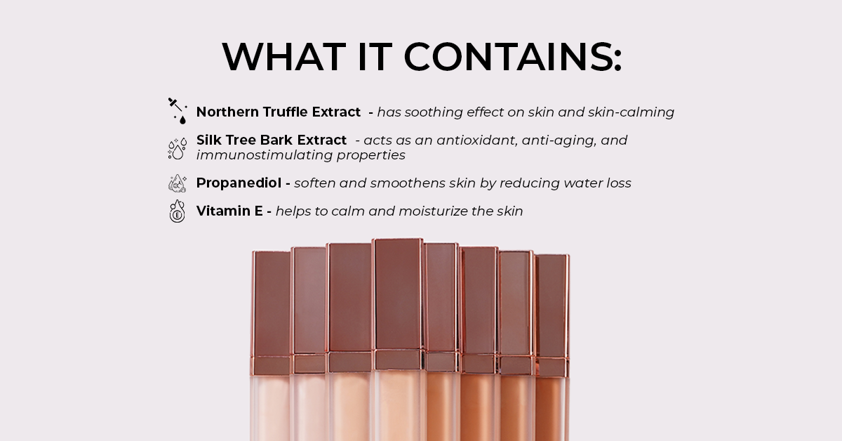 THE ULTIMATE SKIN MASTER CONCEALER | Shopee Philippines