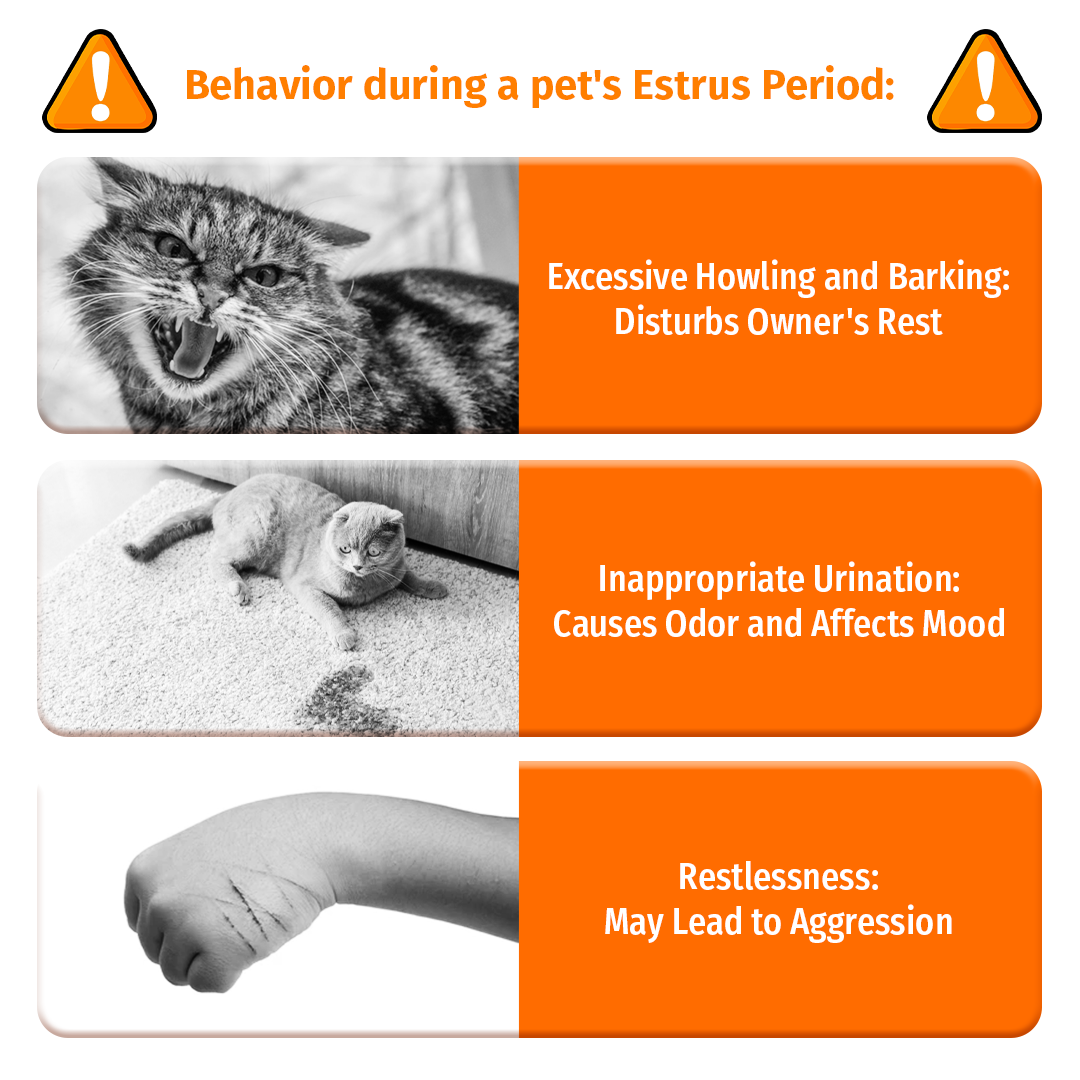 Cassiel Pet Estrus Suppressant Tablets For Calming Howling Reduce ...