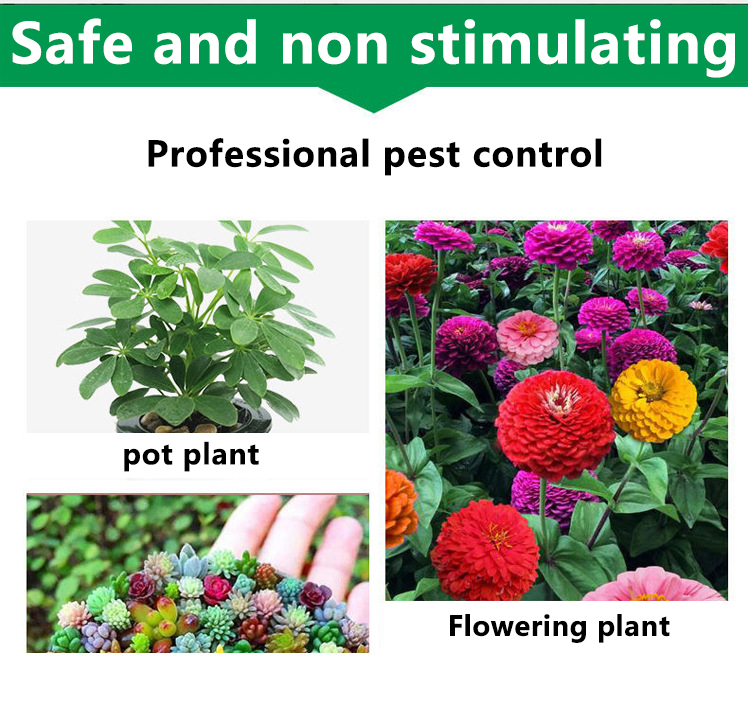 Plant Pest Control 500ml Insecticide for vegetables, Fruits, Plants and ...