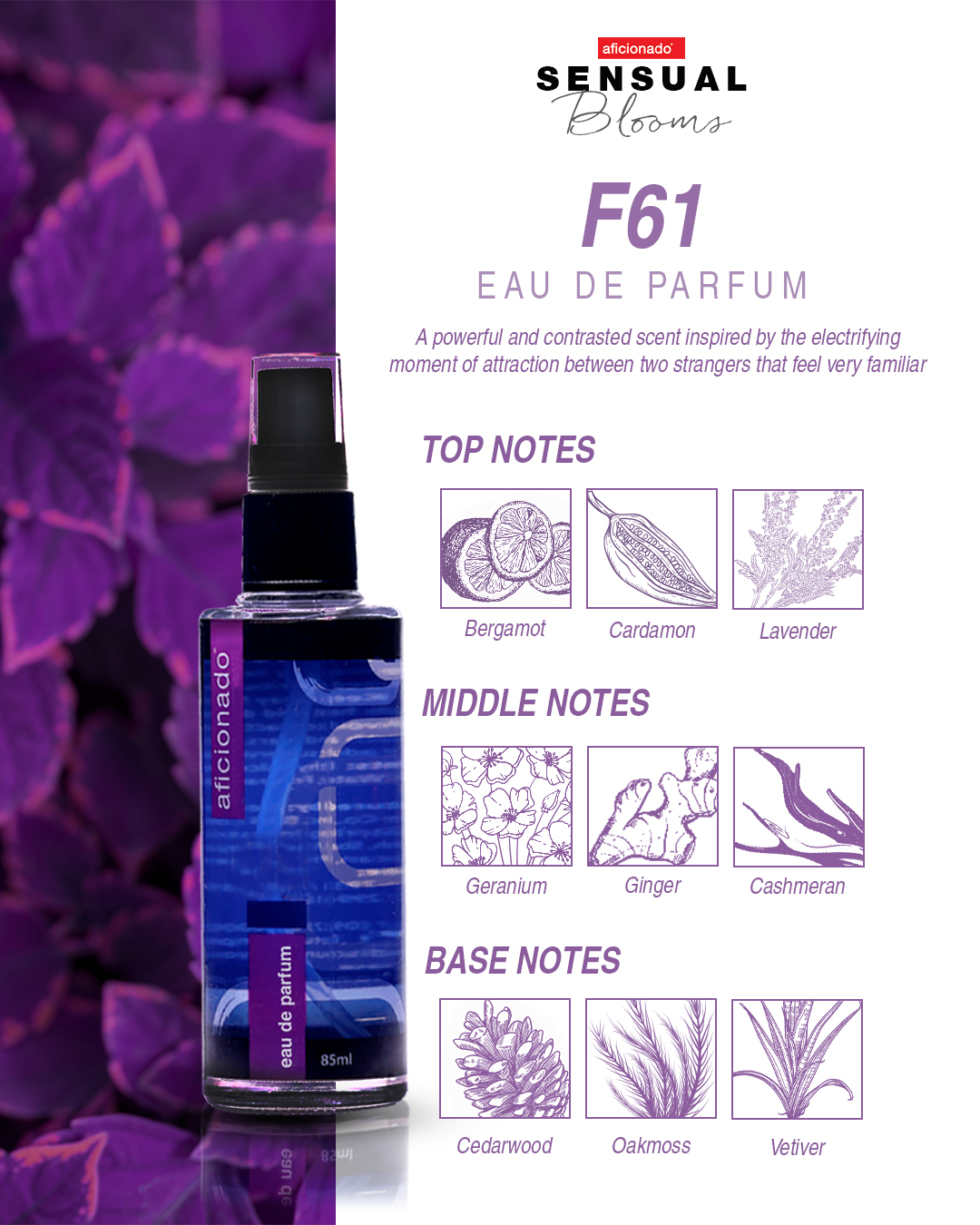 Aficionado F61 Eau De Parfum For Men | Shopee Philippines