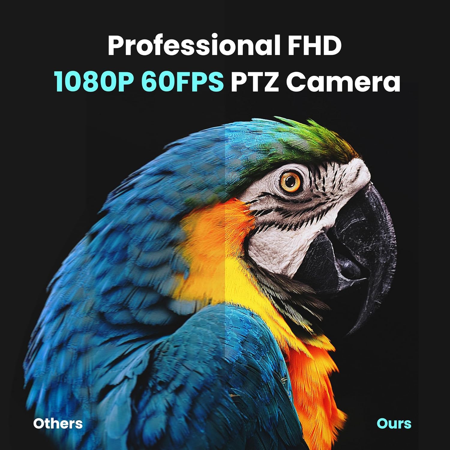 Tenveo UHDMAX NDI 1080P PTZ Conference Camera with 30X Zoom & Auto ...