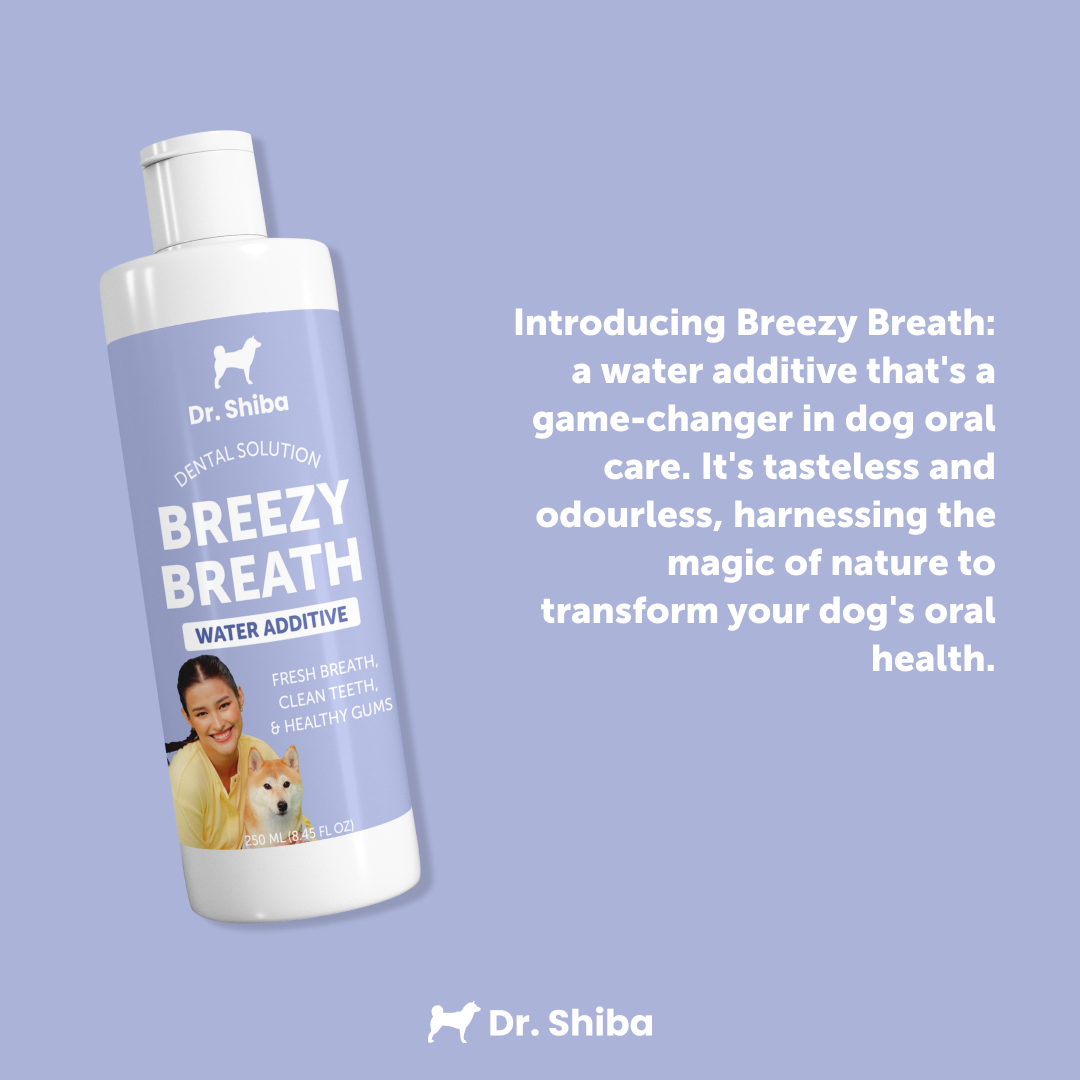 Dr Shiba Breezy Breath Dog Dental Care for Dogs - Suitable for All Dogs ...