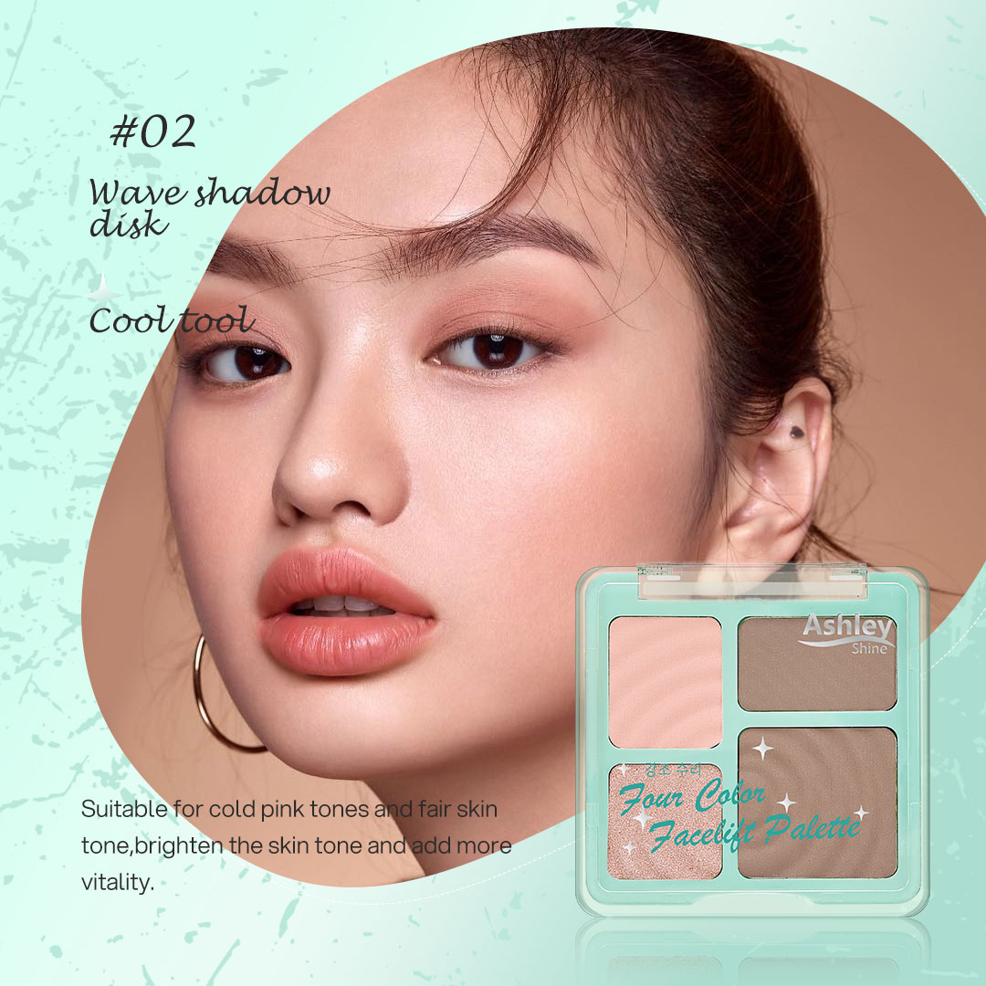 Ashley Shine Face Highlighting & Contouring waterproof natural Long Lasting Makeup AS8159 ...