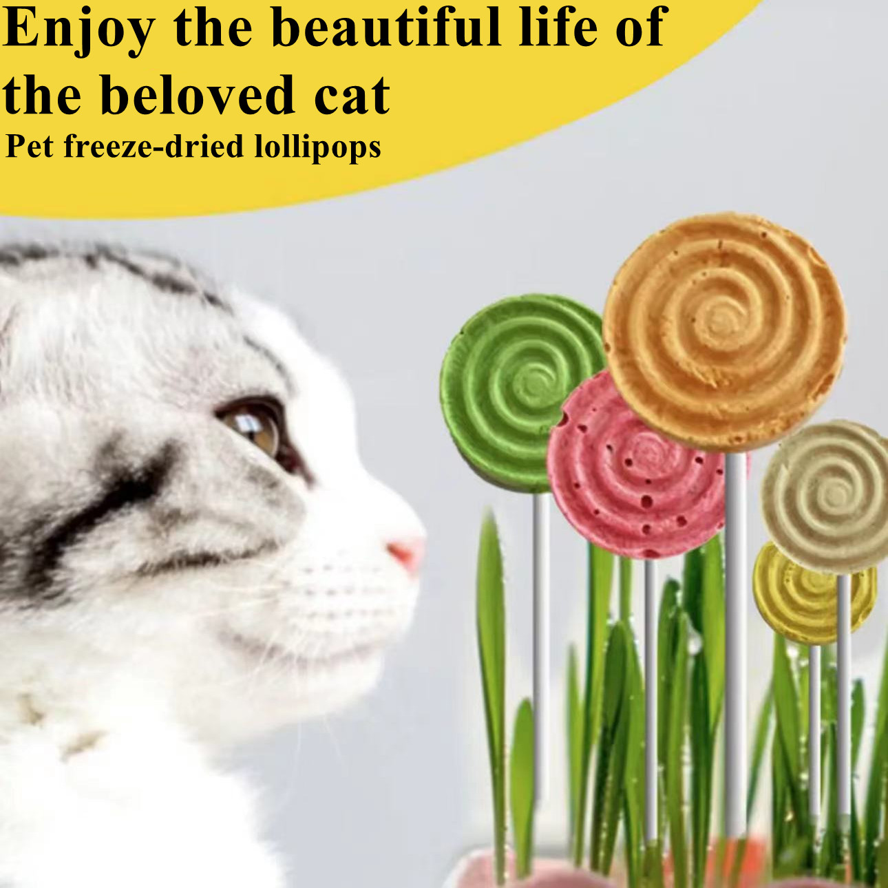 Pet Freeze-dried lollipop Treast Nutritious Cat Freeze-dried snacks And ...