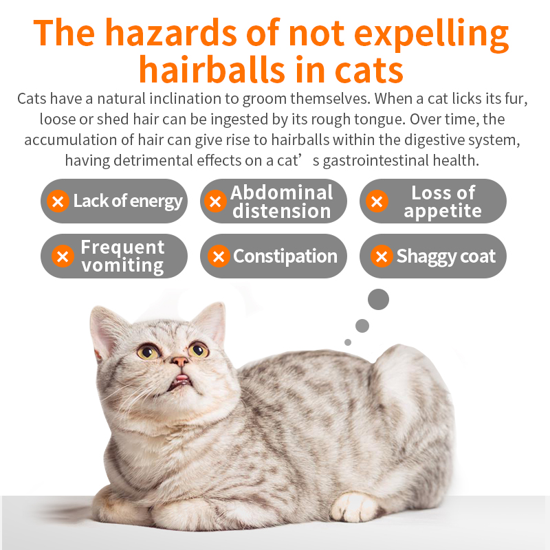 PUAINTA Hairball Solution for Cat Hairball Removal Multi Vitamin B Cat ...