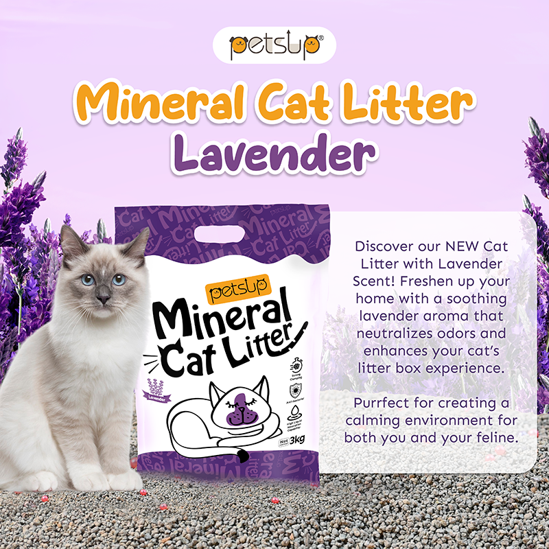Petsup Mineral Cat Litter Sand Lavender Scent 3kgs Sodium-Based Mineral ...