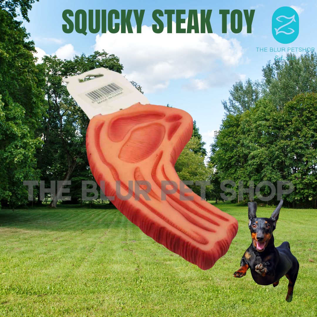 Pet Dog Squeak Chew Toys Funny Steak Designs Dog Toys For Small Large ...