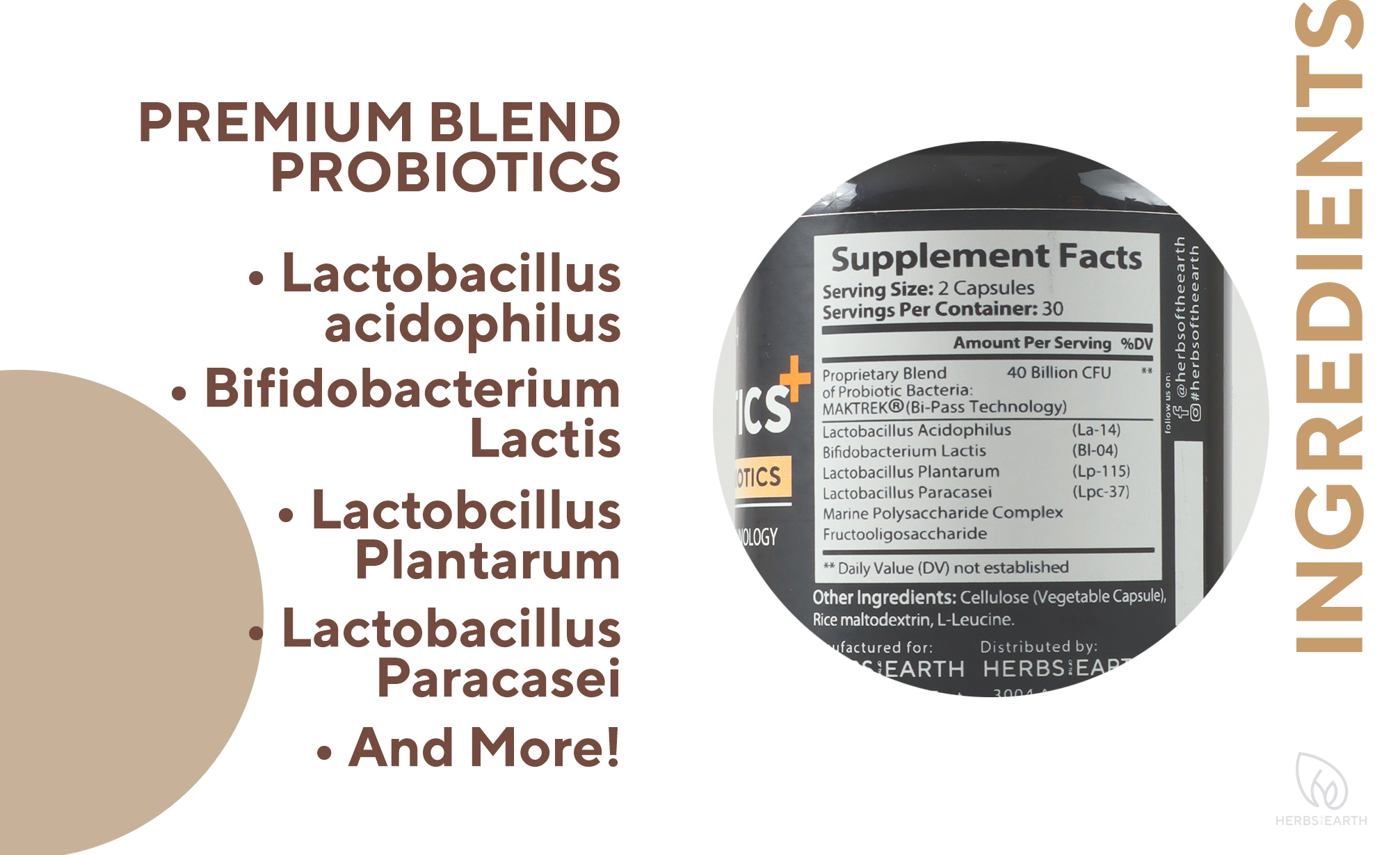 PROBIOTICS 40 Billion CFU Prebiotics Lactobacillus Acidophilus 60 Caps ...