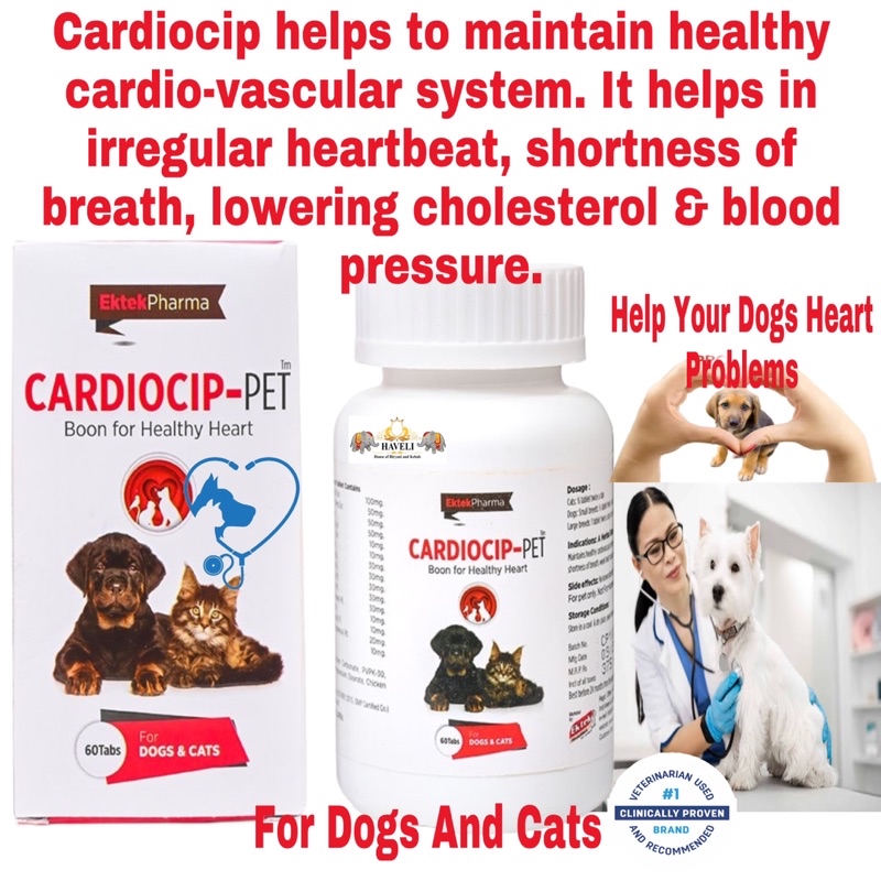 EkTek Pharma CardioCip For Healthy Heart on Dogs And Cats 60Tab ...