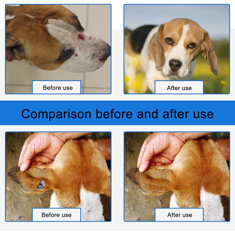 Wutuns Pet Skin Treatment For Dogs Pet Anti Fungal Spray Dog Skin ...