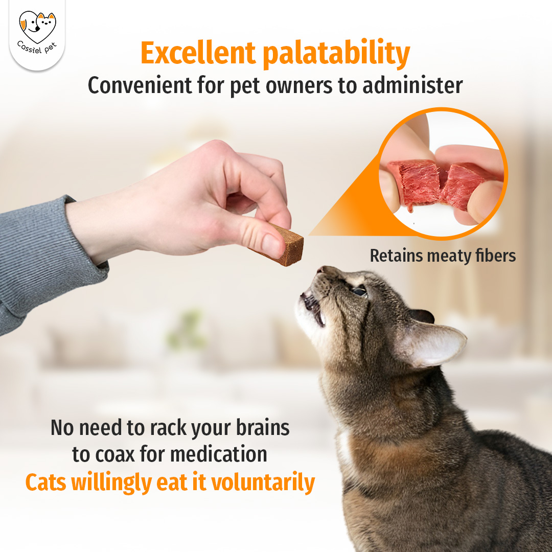 Cassiel Pet Anti Tick And Flea Spot Treatment Dewormer Chewable Tablet ...